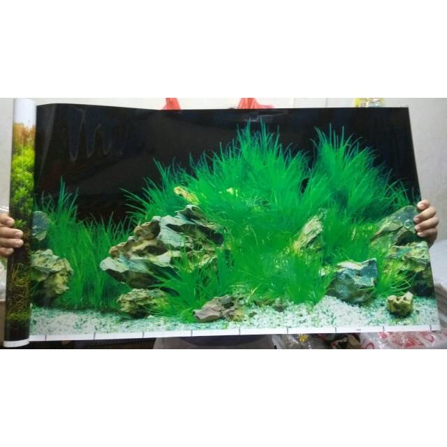Jual BACKGROUND AQUARIUM MOTIF LAUT DAN AQUASCAPE T60CM ROLL PER 10CM ...