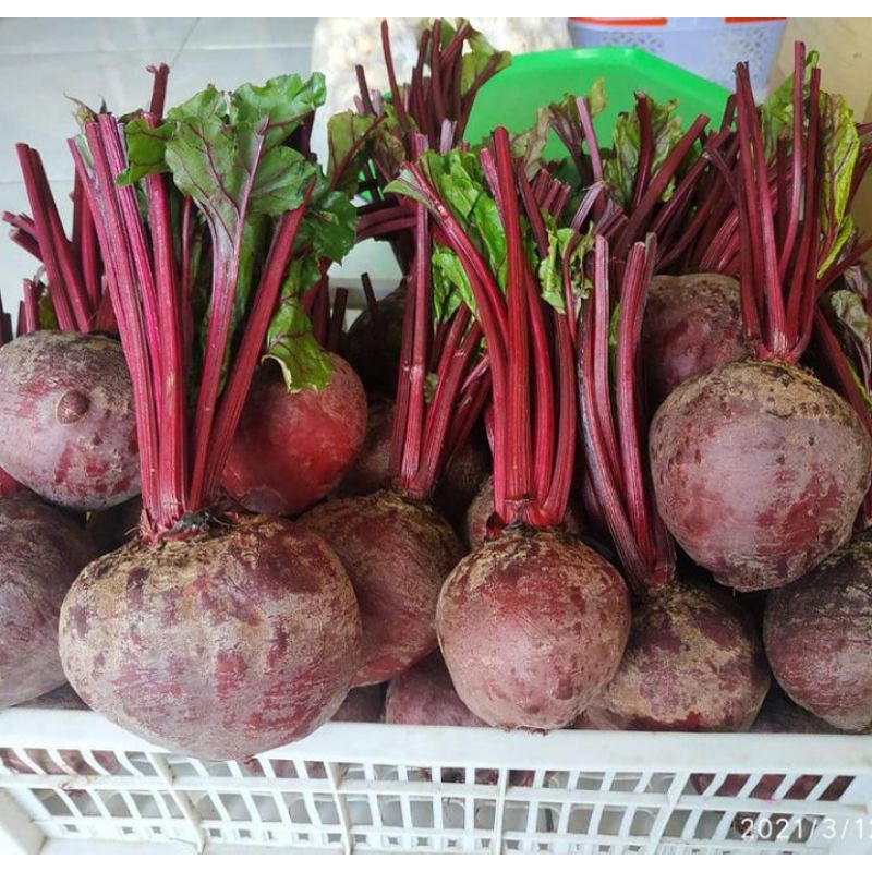 Jual 1 kg BUAH BEET/ BUAH BIT PALEMBANG (BISA INSTAN) | Shopee Indonesia