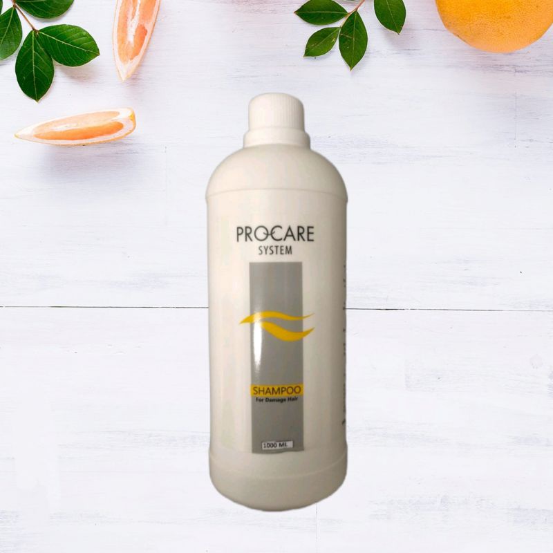 Jual Procare System Shampo Untuk Rambut Kering Dan Rusak 1 Liter By ...
