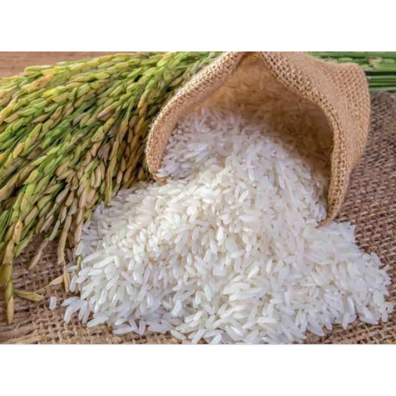 Jual Beras Super 1 Kg | Shopee Indonesia