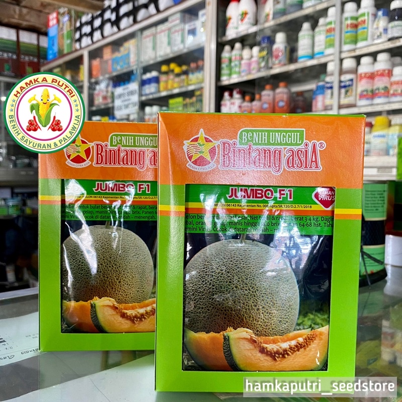 Jual Melon Besar JUMBO F1 20 Gram | Shopee Indonesia