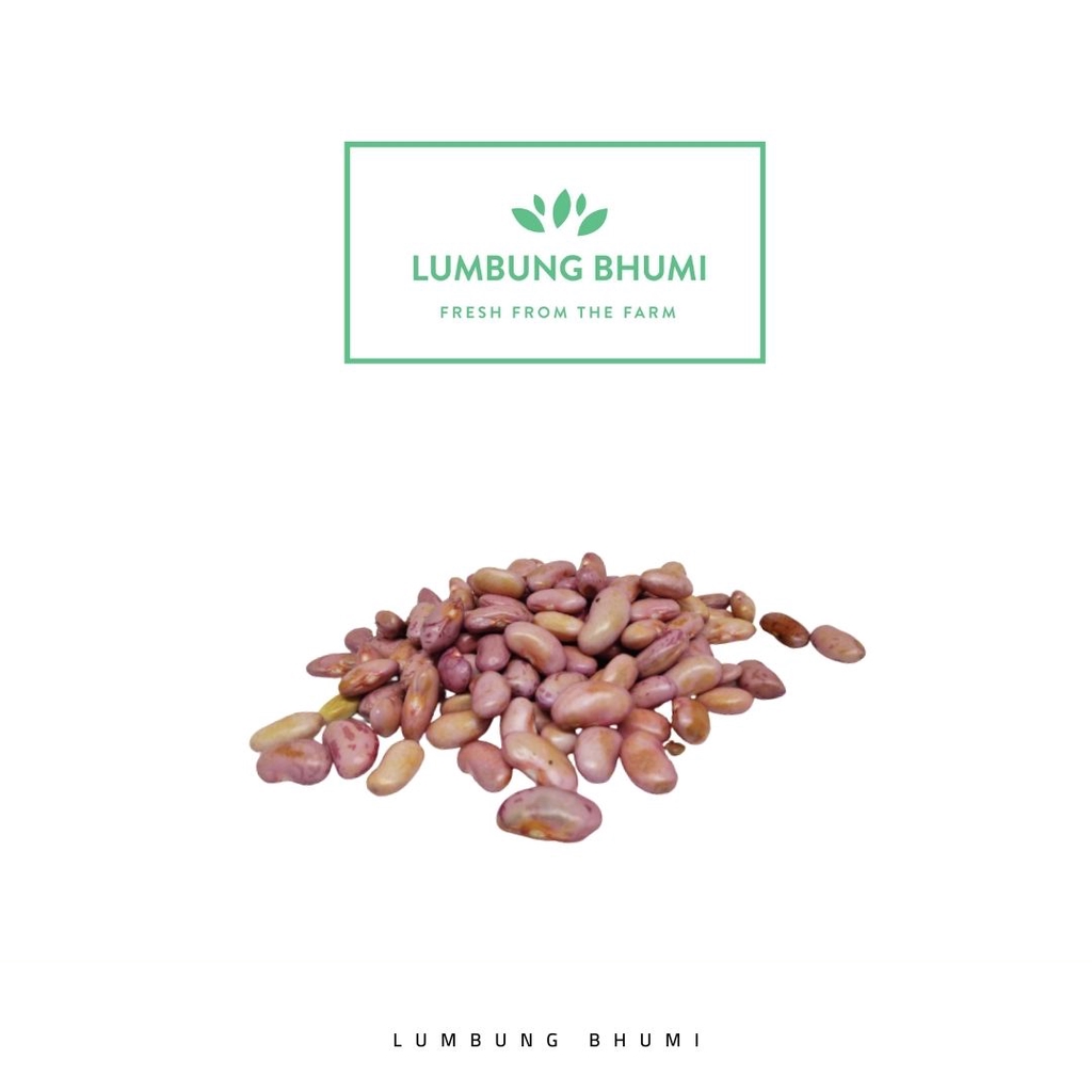 Jual LE Lumbung Bhumi - Kacang Merah Basah 500 Gr ( Sayur Curah ...