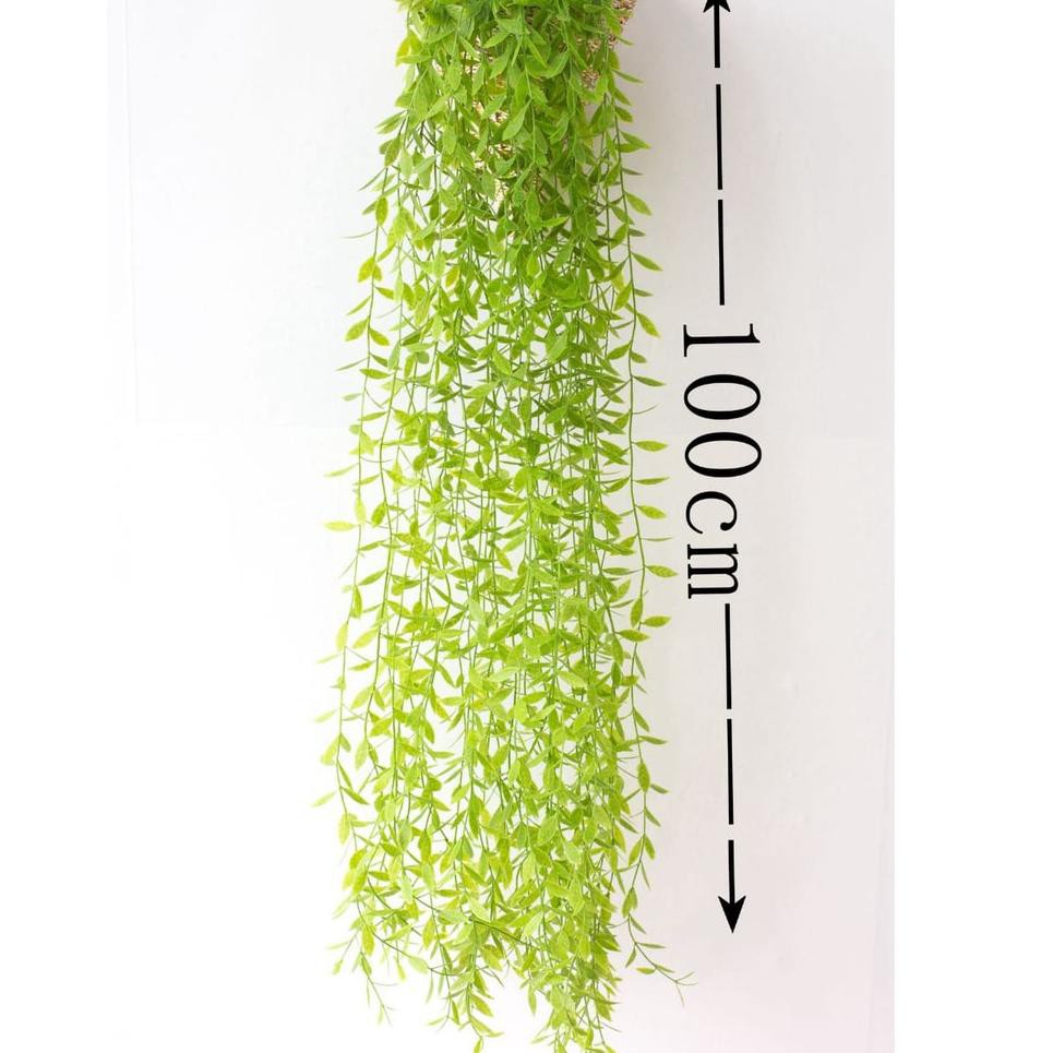 Jual MEN SALE Kunataruma Daun Rambat Palsu Tanaman Hias Indoor Pot ...