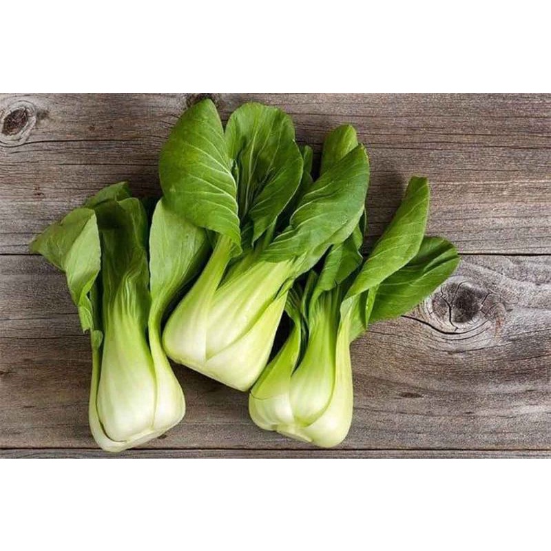 Jual 300 BUTIR BIJI/BENIH SAYURAN SAWI CAKCOY | Shopee Indonesia