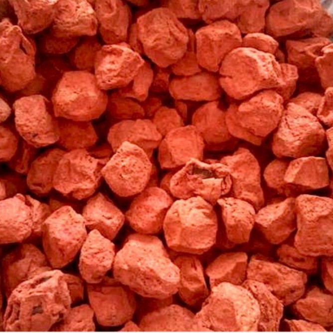 Jual PLUM/ KIAMBOI MERAH ASIN ASEM / RED PRUNE 100 GRAM | Shopee Indonesia