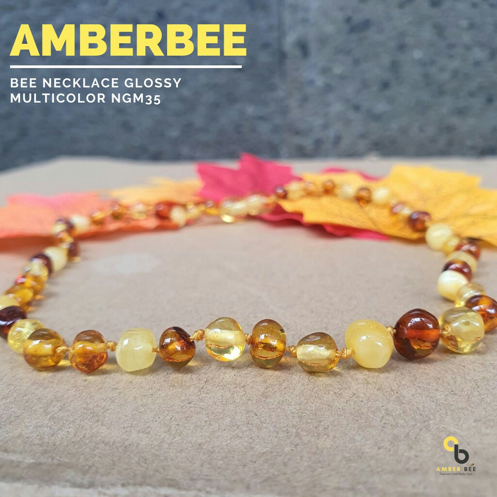 Jual Kalung Anak Amber Premium Glossy Multi Color NGM35 By Amber Bee ...
