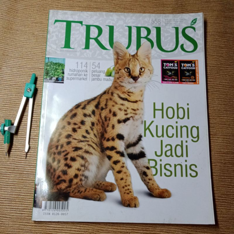 Jual Majalah Trubus edisi Hobi Kucing Jadi Bisnis. | Shopee Indonesia