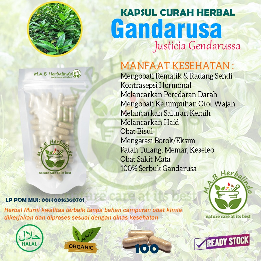 Jual GANDARUSA 100 Kapsul Herbal Bisul Eksim Rematik Bells Palsy Sakit ...