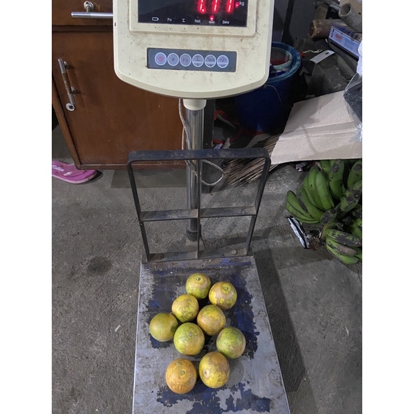 Jual jeruk baby java manis ( jeruk malang) per 1kg | Shopee Indonesia