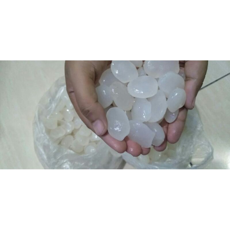 Jual Kolang Kaling Mentah / Buah Atep warung Hadi 1kg | Shopee Indonesia