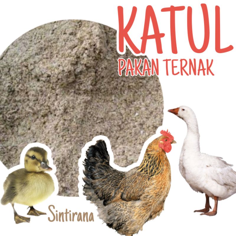Jual DEDAK KATUL Pakan Ternak BEKATUL DEDEK | Shopee Indonesia