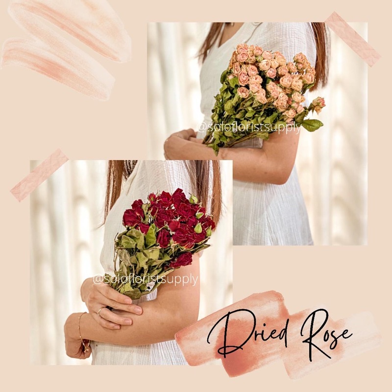 Jual 20gr DRIED ROSE MAWAR KERING BUNGA KERING RED ROSE MAWAR MERAH ...