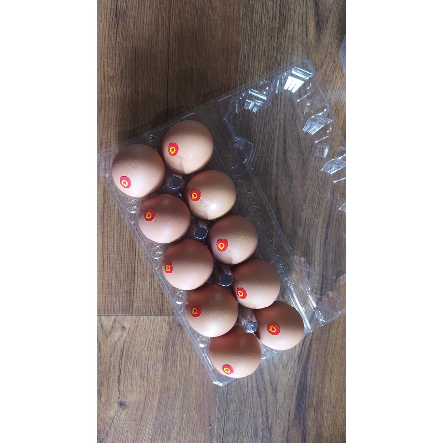 Jual Telur Ayam Omega 3 isi 10 butir per pack | Omega Eggs | Telor ...