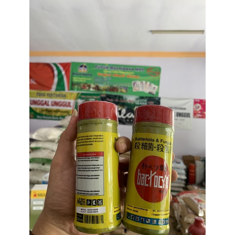 Jual Bactocyn 200ml bakterisida dan fungisida MENGENDALIKAN LAYU ...
