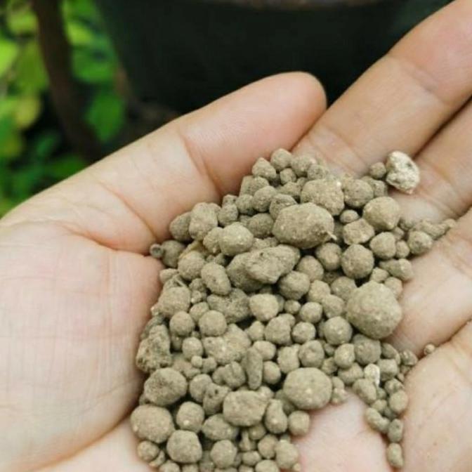 Jual ( 5 Kg ) Pupuk Kascing Cacing Granule - Vermicompost Organik ...