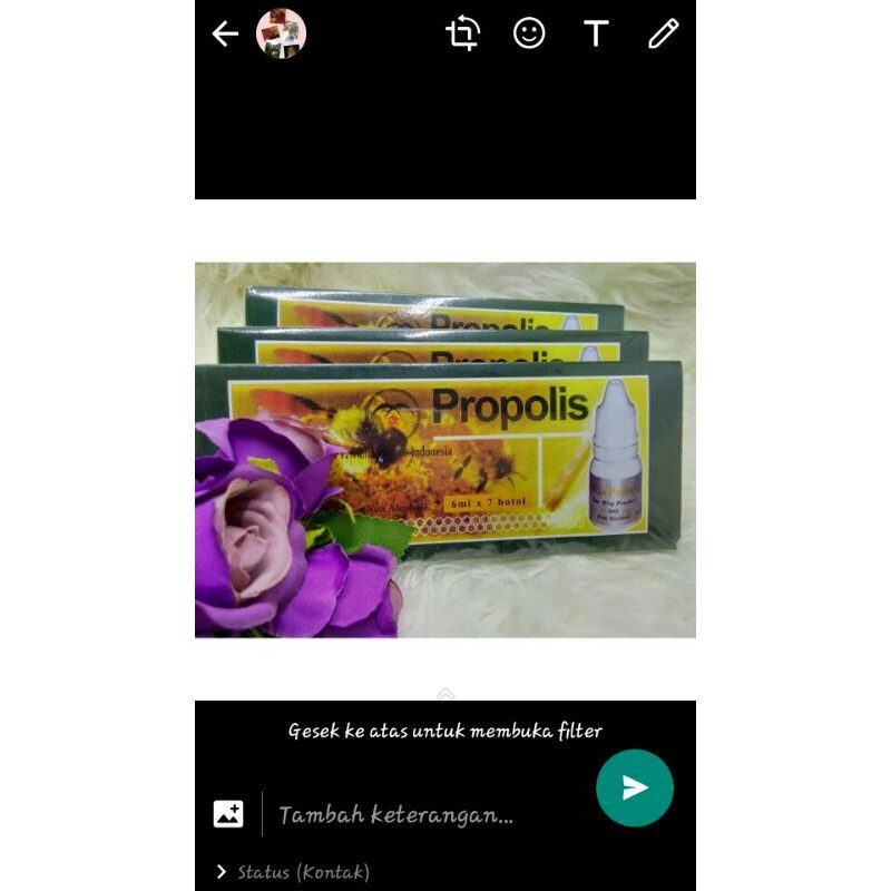 Jual propolis melia nature indonesia ( propolis MNI) | Shopee Indonesia