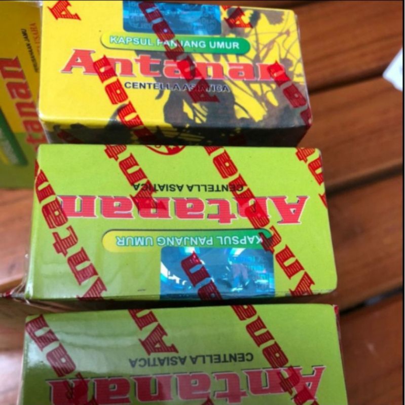 Jual herbal KAPSUL ANTANAN ORIGINAL-ANTANAN-ASAM URAT-REUMATIK-FLU ...