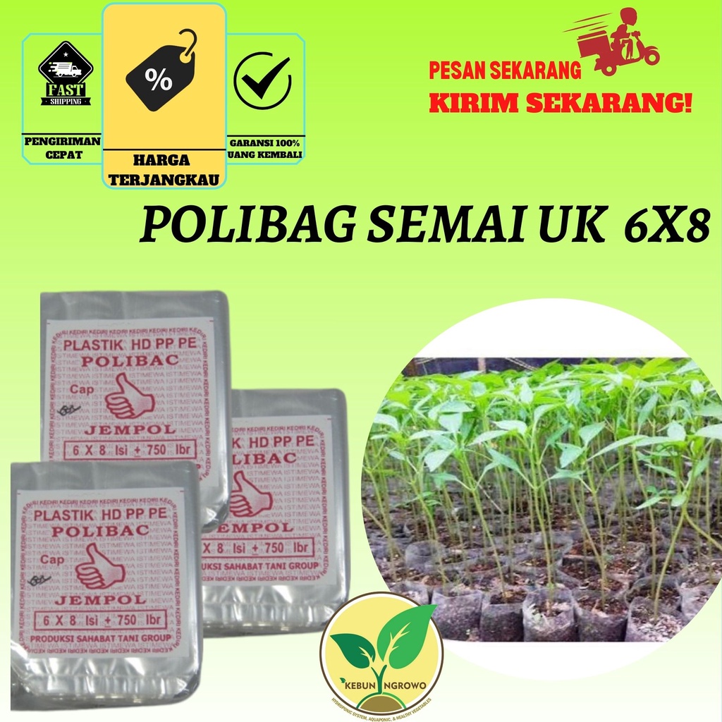 Jual Polibag Polybag Semai Benih Ukuran 6x8 750 Pcs | Shopee Indonesia