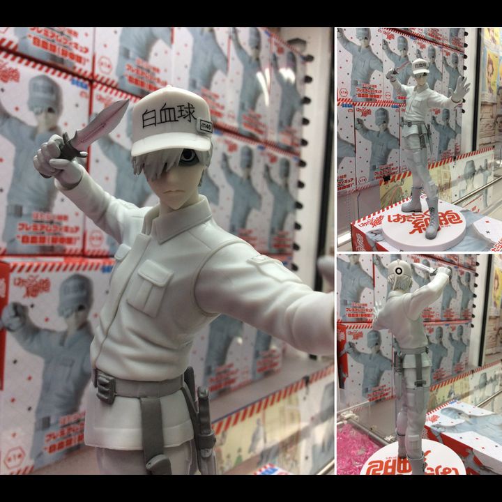 Jual Premium Figure White Blood Cell / U-1146 - Hataraku Saibou (21cm ...