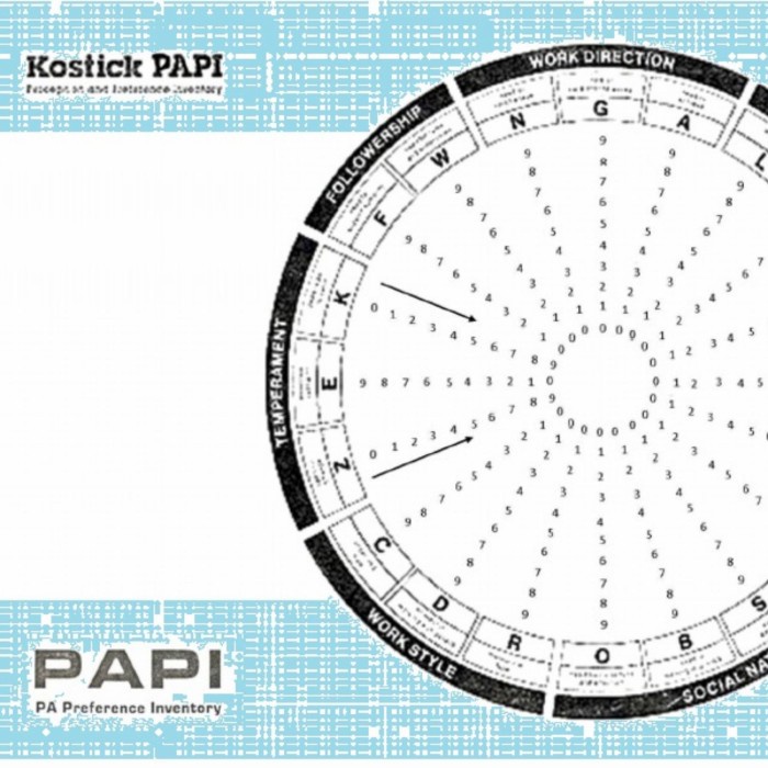 Jual Psikotes Papi Kostick (Software Ms. Excel) | Shopee Indonesia