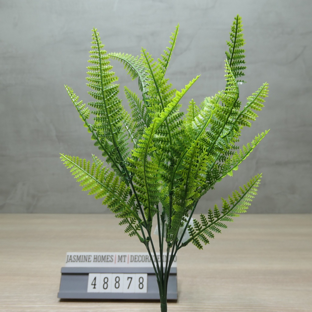 Jual Daun Pakis Group 35Daun 7Cabang Dekorasi 48878 | Shopee Indonesia