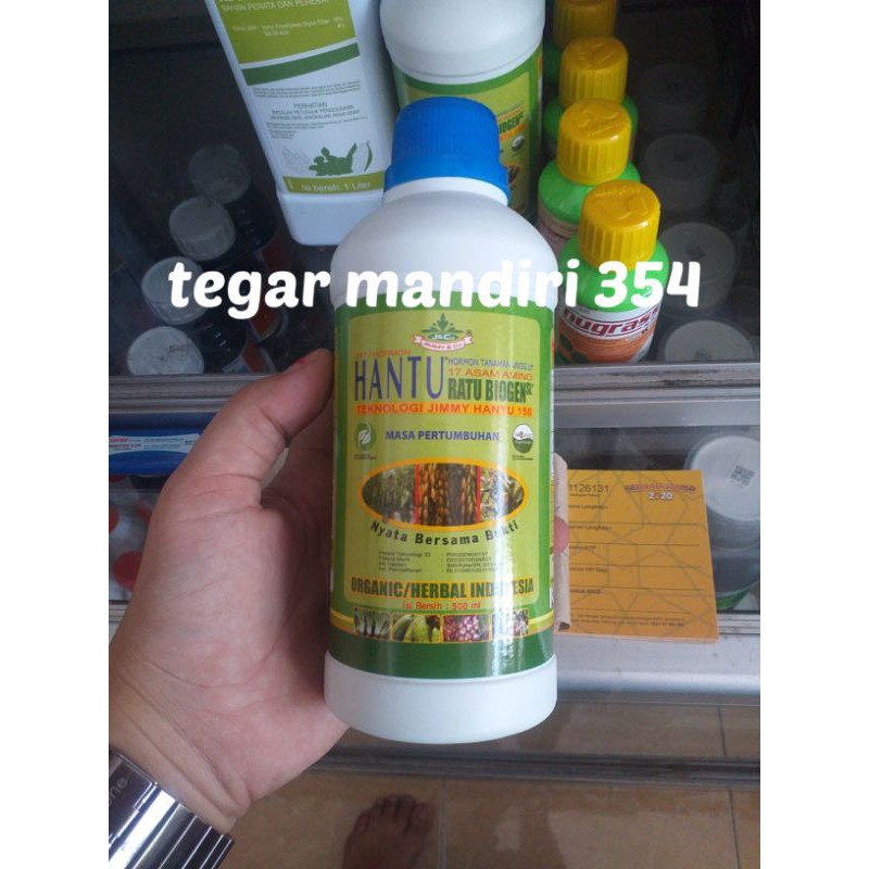 Jual PUPUK HANTU 500ML pupuk zpt pertumbuhan jimmy hantu ratu biogen ...