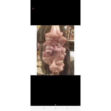 Jual Usus Sapi siap masak | Shopee Indonesia