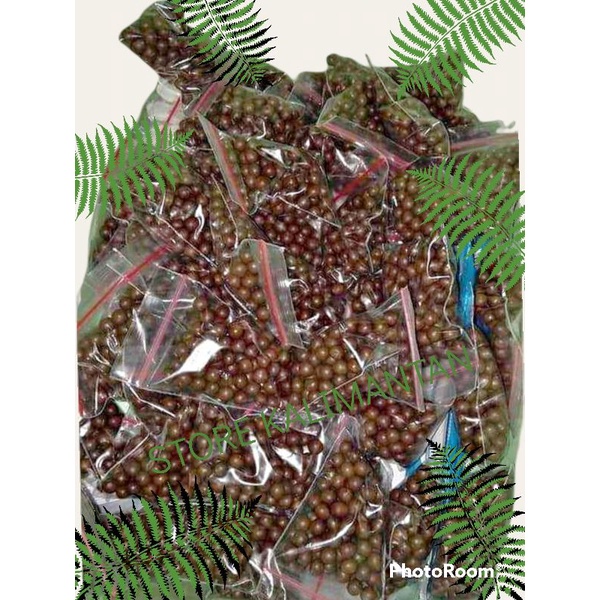 Jual Pil pinang Anum Kalimantan solusi segala macam Masalah kewanitaan ...