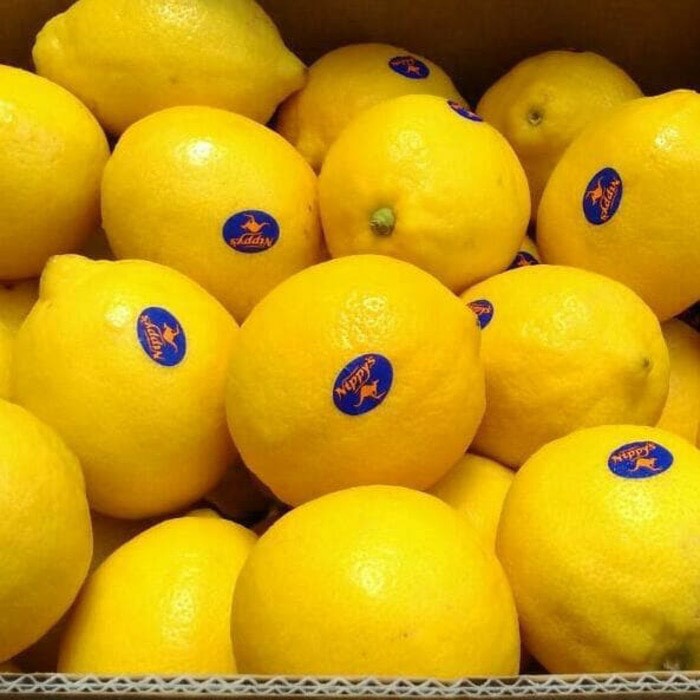 Jual Buah Lemon Import Fresh Banyak Air - Harga Per KG Termurah ...