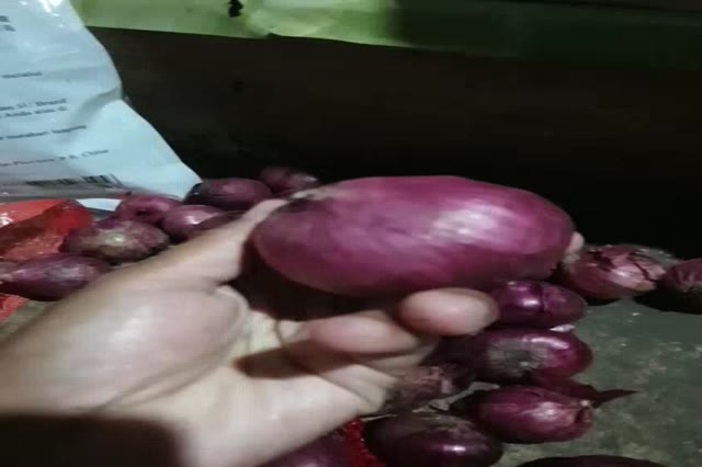 Jual bawang india 1 kg bawang merah india 1 kg bawang peking 1 kg ...