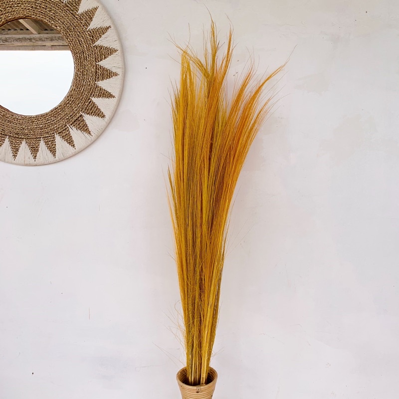 Jual Rayung Stick Pampas Panjang 1,5 Meter (1 ikat isi 3 batang ...