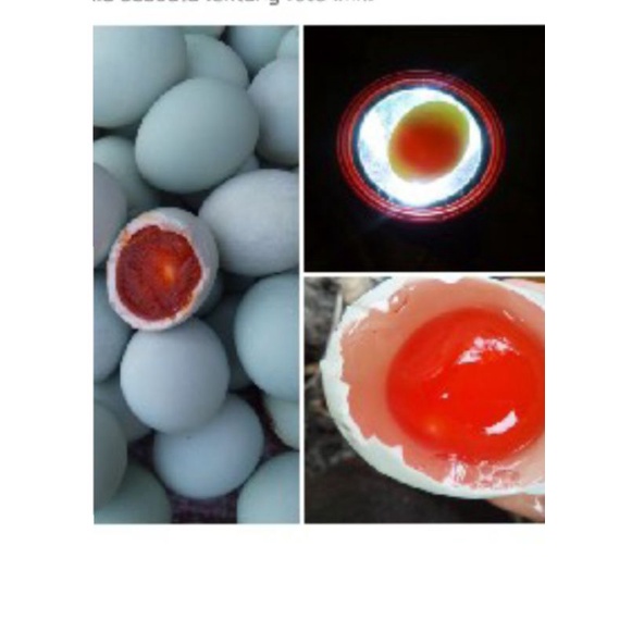 Jual Telor asin OMEGA/ manik merah/Masir dan berminyak grade A (min ...