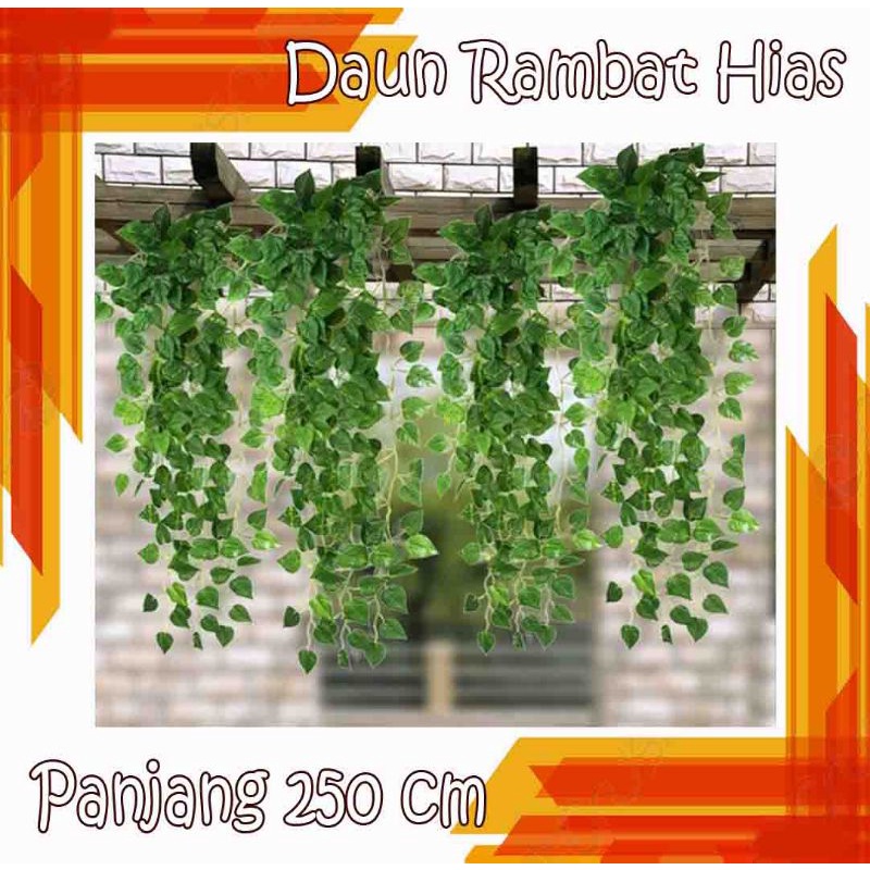 Jual Daun rambat panjang 225cm bunga rambat daun hias daun panjang ...