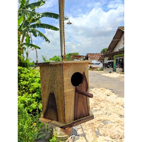 Jual Glodok Burung Lovebrid Parkit Rumah Tupai Bentuk Topi Wisuda ...