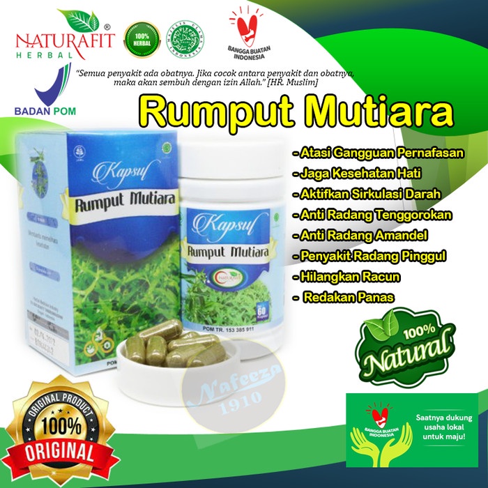 Jual OBAT UNTUK PERNAFASAN RUMPUT MUTIARA 60 KAPSUL - OBAT HERBAL ...