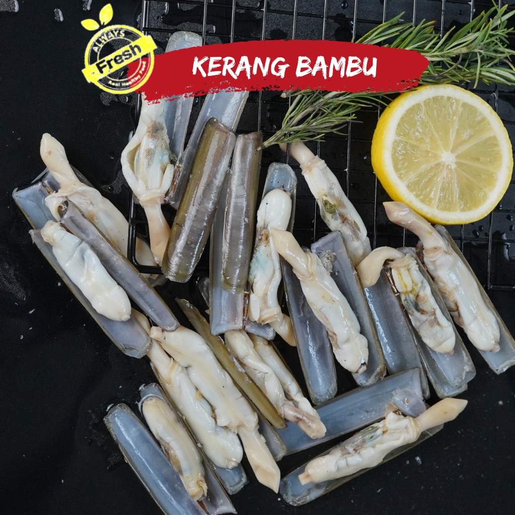 Jual Kerang Bambu Segar Frozen 1 kg | Shopee Indonesia