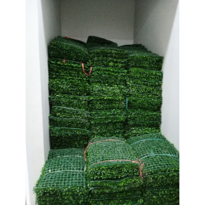 Jual Rumput dolar sintetis, penutup dinding vertikal garden | Shopee ...