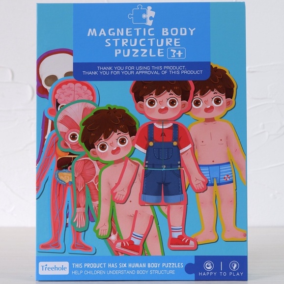 Jual HUMAN BODY MAGNET, Belajar Mengenal Organ Tubuh untuk Anak | Shopee Indonesia
