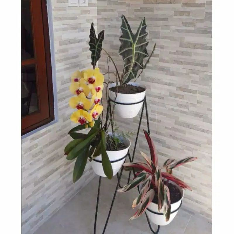 Jual Standing Pot 3 susun dudukan pot 3 in 1 Tinggi 60cm | Shopee Indonesia