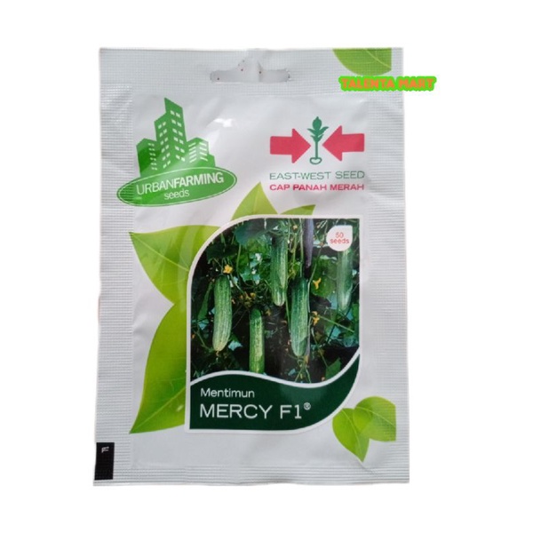 Jual BENIH TIMUN/MENTIMUN MERCY F1 EXP 2023 | Shopee Indonesia