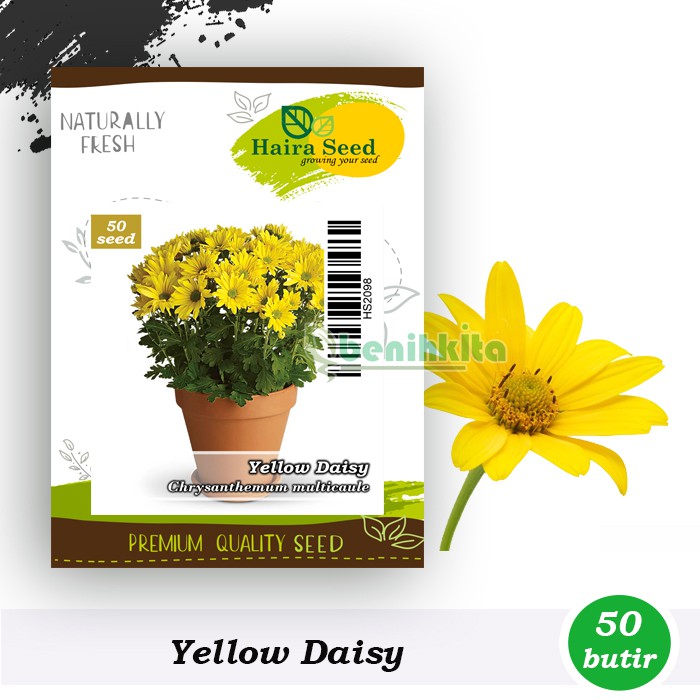 Jual Benih-Bibit Bunga Yellow Daisy (Haira Seed) | Shopee Indonesia