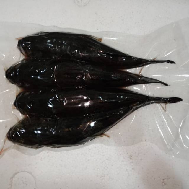 Jual Ikan Sunhok Beku / Ikan Betutu Beku/ Gabus Malas Beku ukuran 150 ...