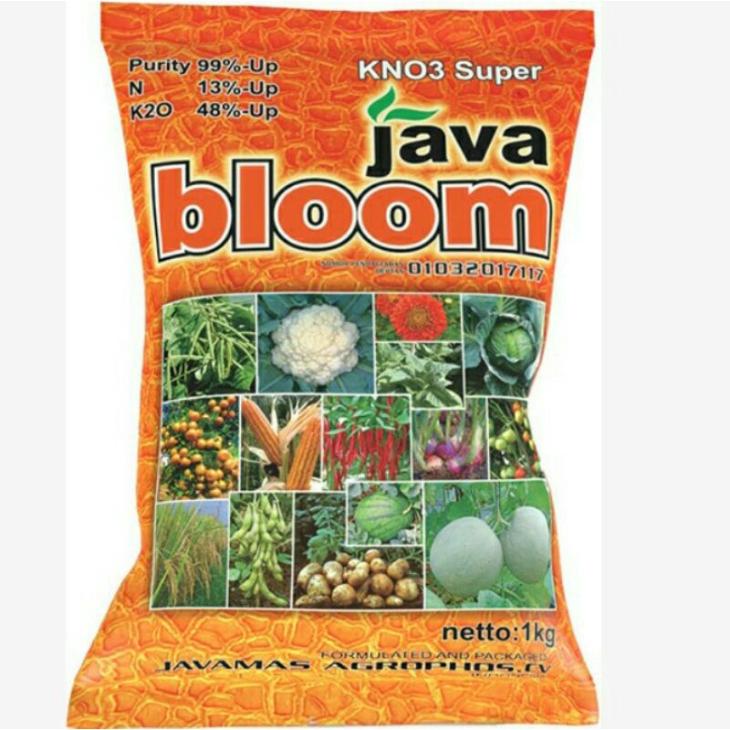 Jual java bloom | Shopee Indonesia