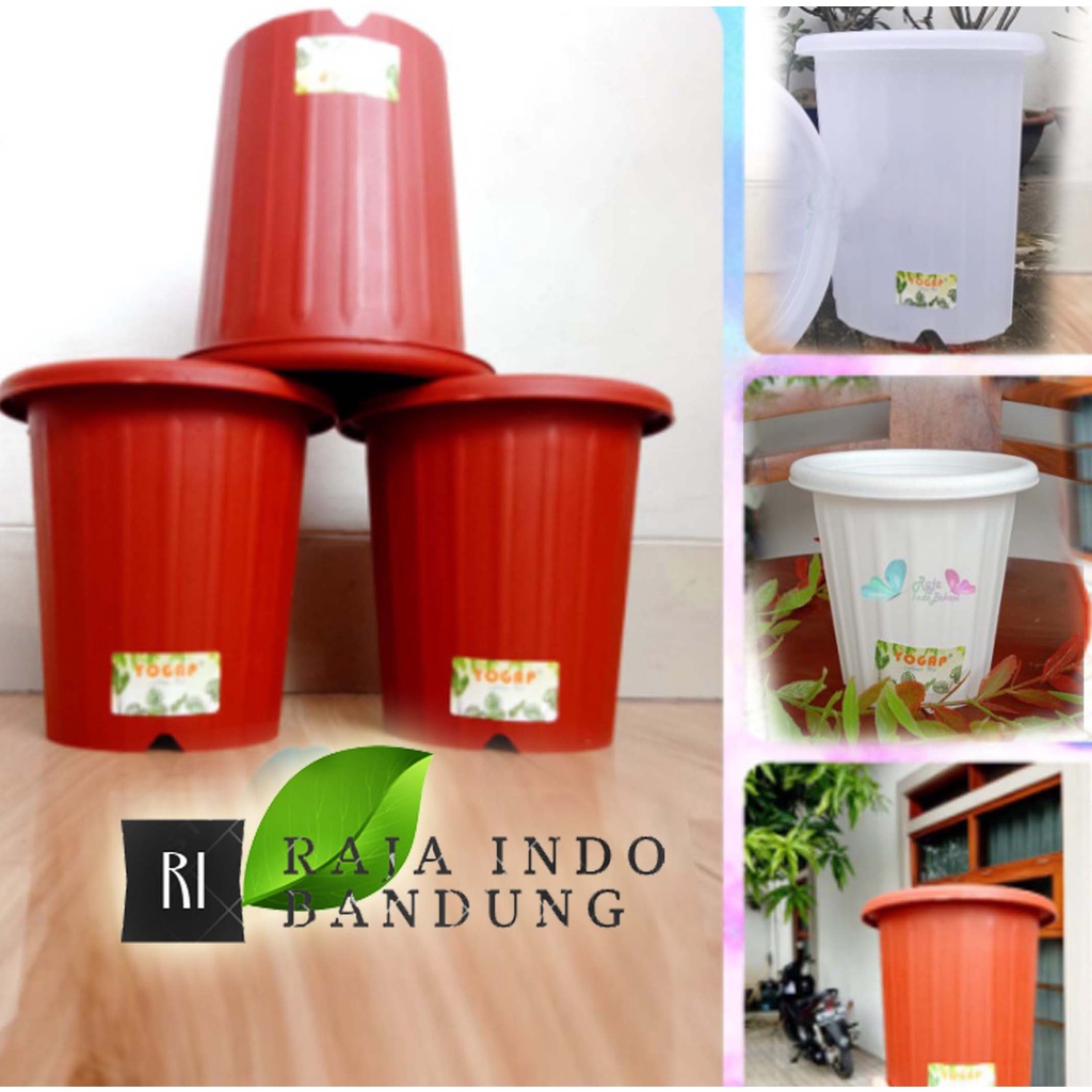 Jual Pot Yogap 30 Varian Putih Transparan/Bening Merah Bata Pot Yogap ...