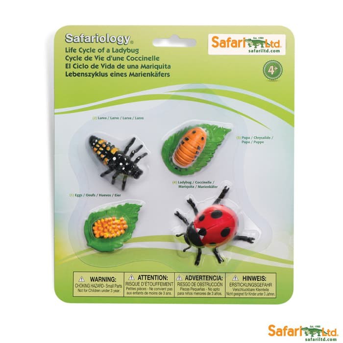 Jual Safari Ltd - Life Cycle of Lady Bug Set | Shopee Indonesia