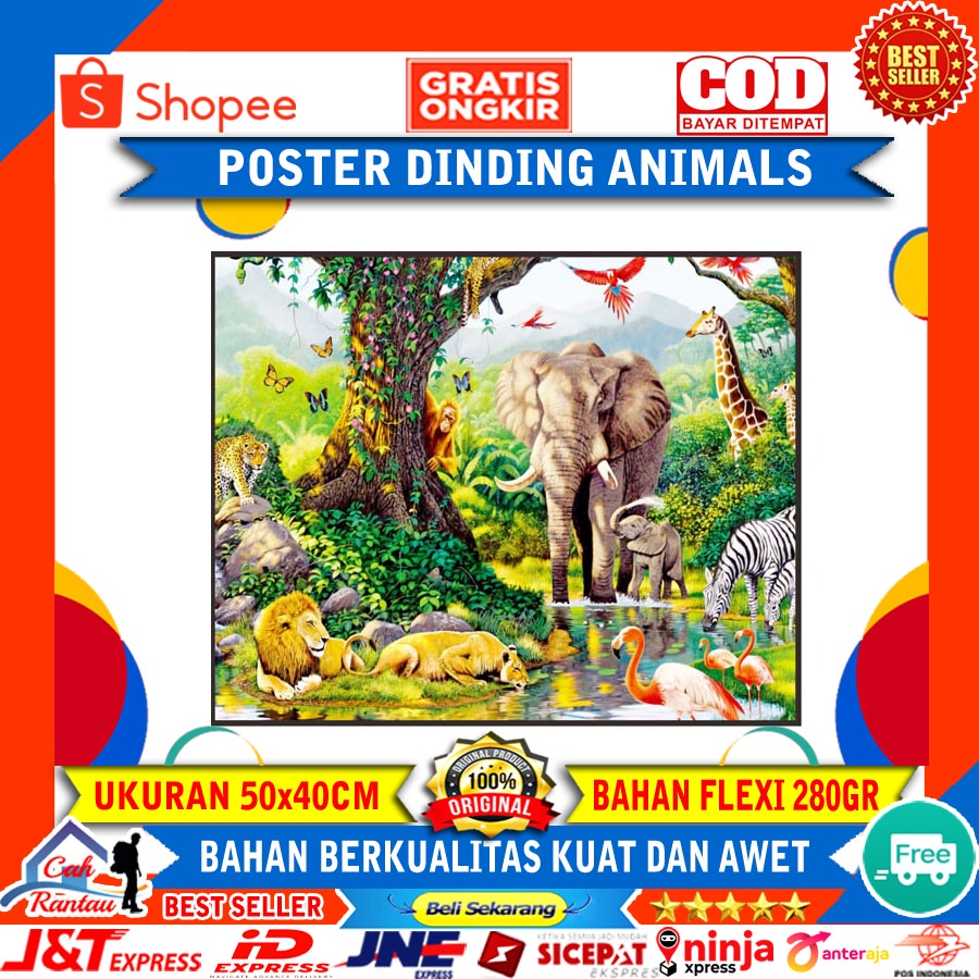 Jual Poster Wall Dinding Dekorasi Rumah Gambar Animals Binatang Flora ...