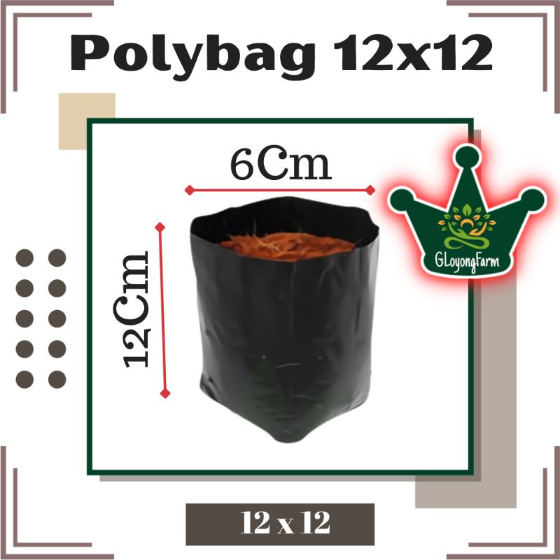 Jual Polybag 12x12 Polibag 12 x 12 Polibek Tebal Tidak Berbau | Shopee ...