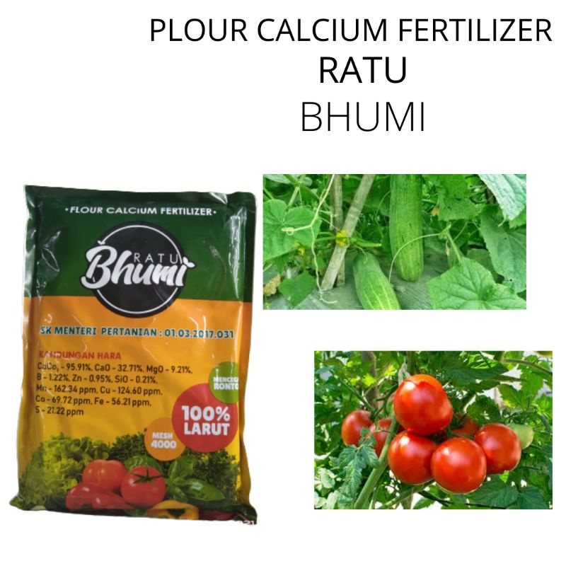 Jual Pupuk anti rontok bunga cabe merah-rawit, RATU BHUMI nutrisi ...