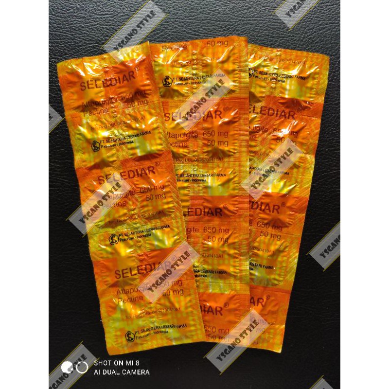 Jual SELEDIAR untuk diare Bukan Enterostop Diapet 1 strip isi 10 kaplet ...