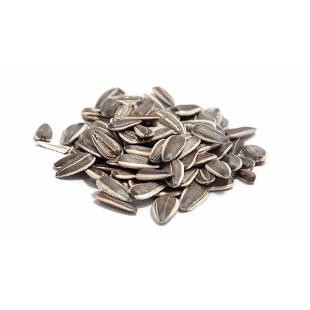 Jual Kuaci Biji Bunga Matahari 100gram Sunflower Seed Kwaci Matang